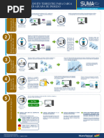 Manual MIC DTA | PDF | aduana | Transporte