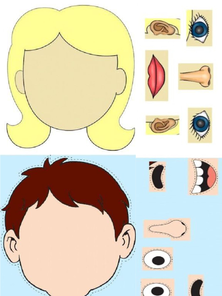 Partes de La Cara | PDF