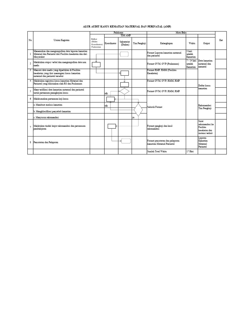 Proses Audit Kematian Maternal dan Perinatal | PDF