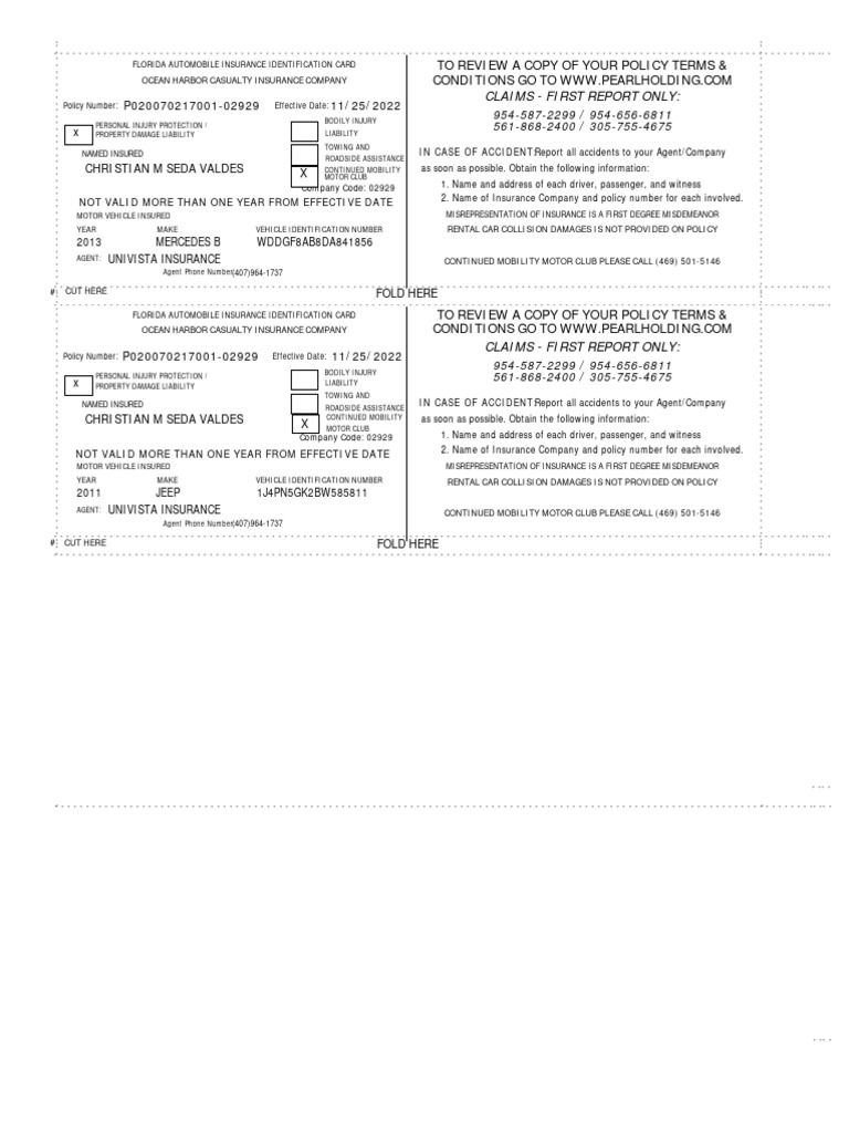 Id Cards | PDF | Vehicle Insurance | Traffic Collision