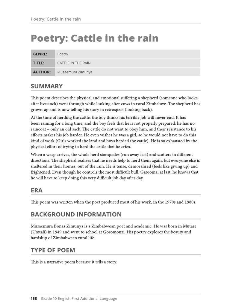 Cattle in The Rain | PDF