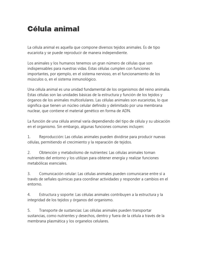 Celula Animal | PDF | Biología Celular) | Citoplasma