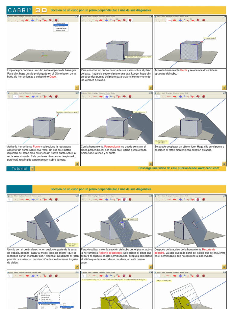 Seccion de Un Cubo | Descargar gratis PDF | Perpendicular | Triángulo