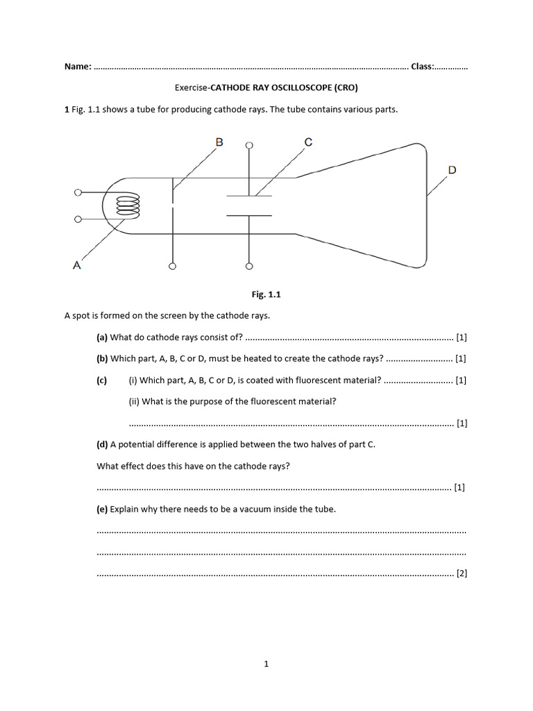 CRO Exercise 2024 | PDF