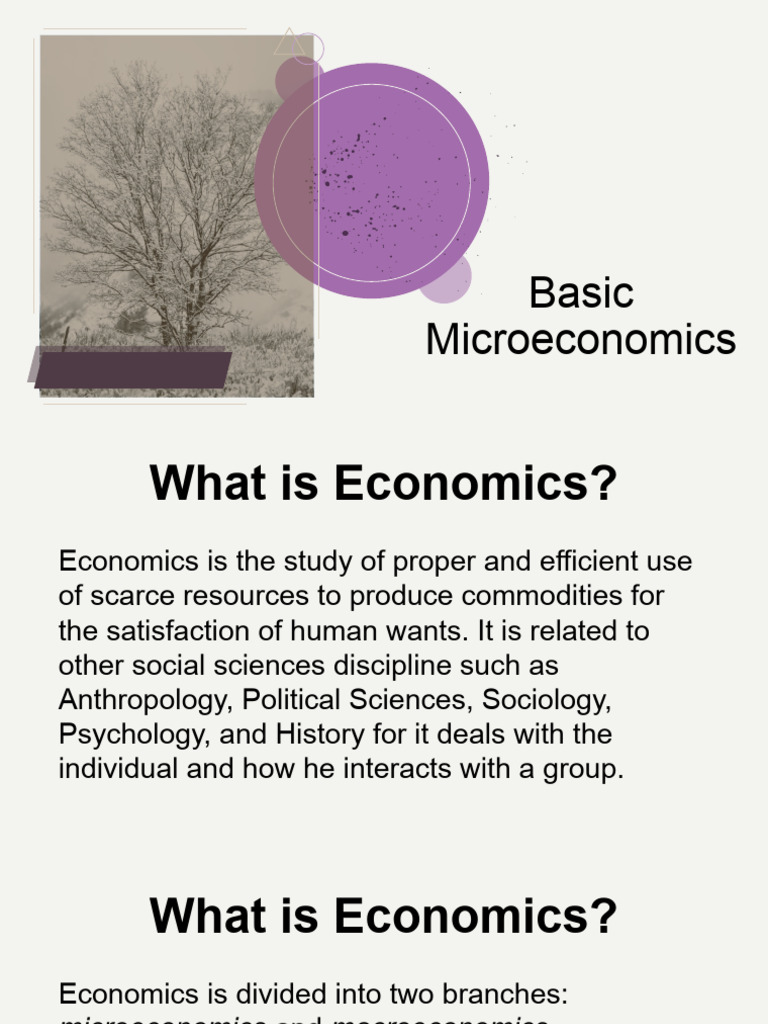 Basic Microeconomics Week 1 | PDF