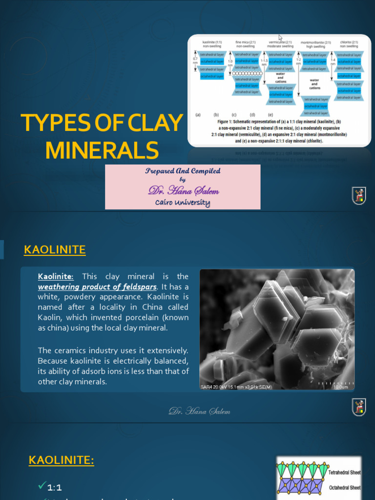 Overview of Clay Mineral Types | PDF | Clay | Minerals