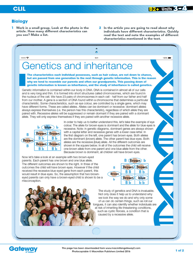 B2+ UNITS 3 and 4 CLIL | PDF | Dominance (Genetics) | Genetics
