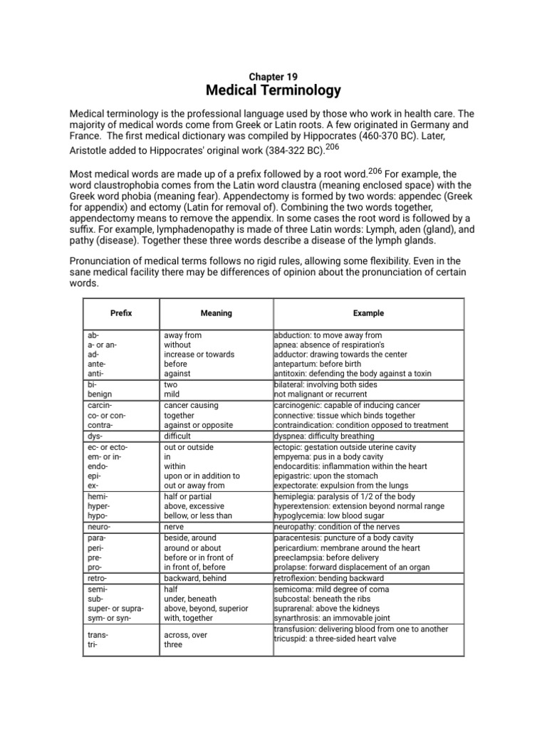 XrayMedical Terminology - HTM | PDF | Bone | Knee