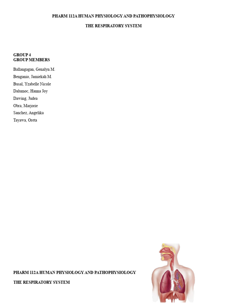 Respiratory System Functions & Anatomy | PDF | Respiratory Tract | Lung