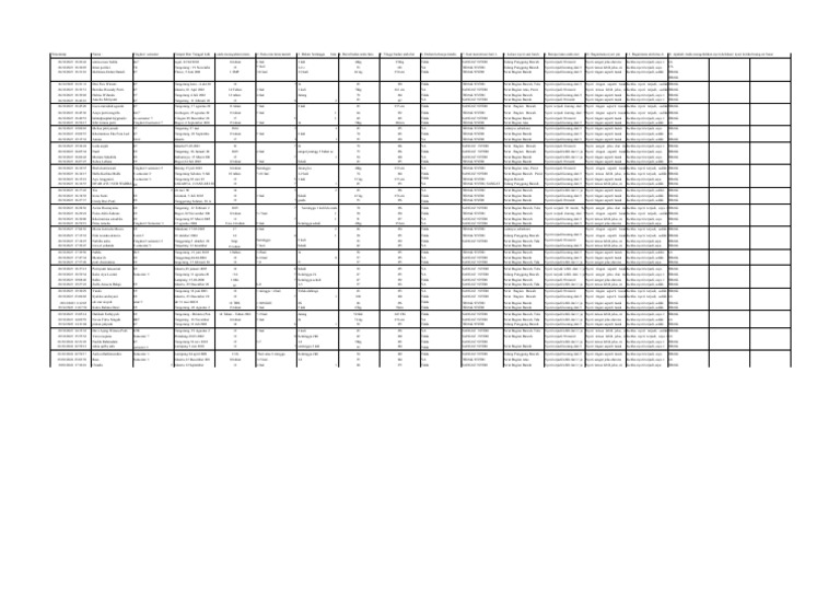 Formulir Kuesioner Responden (Jawaban) - Form Responses 1 | PDF