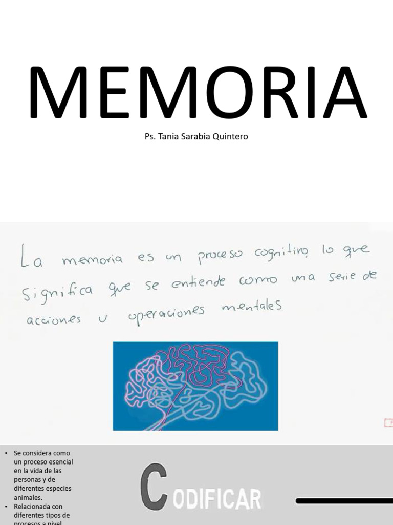 MEMORIA | Descargar gratis PDF | Memoria | Memoria de trabajo