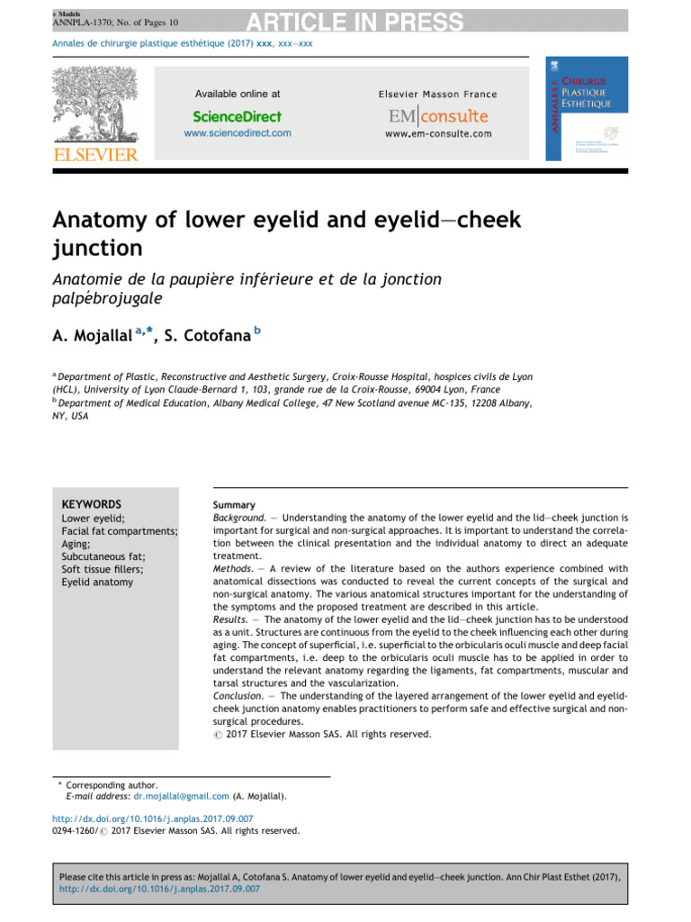 Lower Eyelid and Cheek Junction Anatomy | PDF | Vein | Anatomical Terms ...