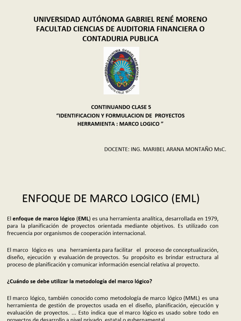 Tema 5. Enfoque Del Marco Logico | PDF | Evaluación | Planificación