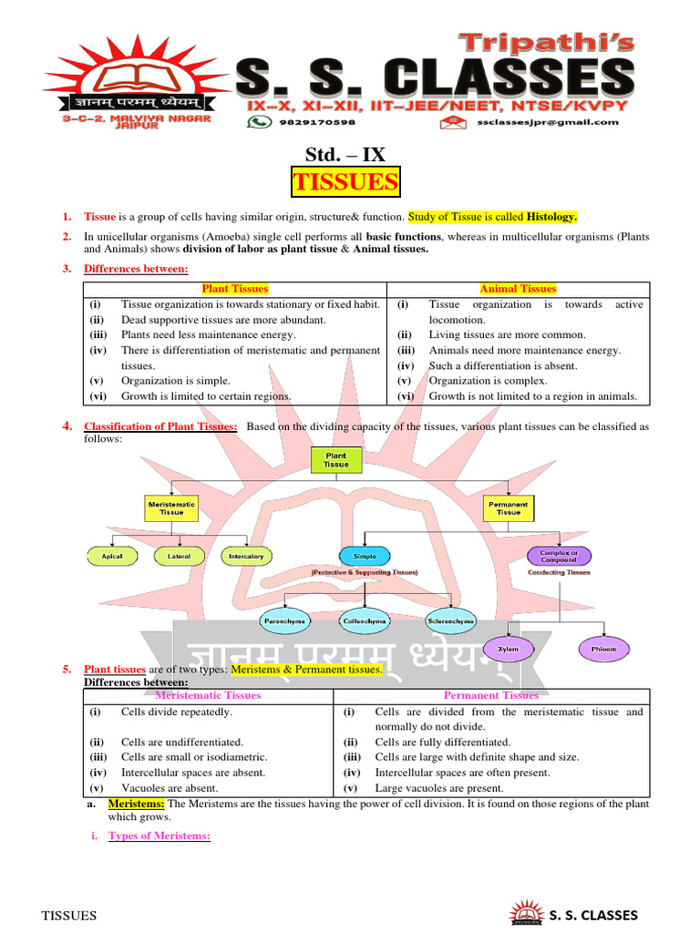 Ix Tissues Enotes | PDF | Epithelium | Tissue (Biology)