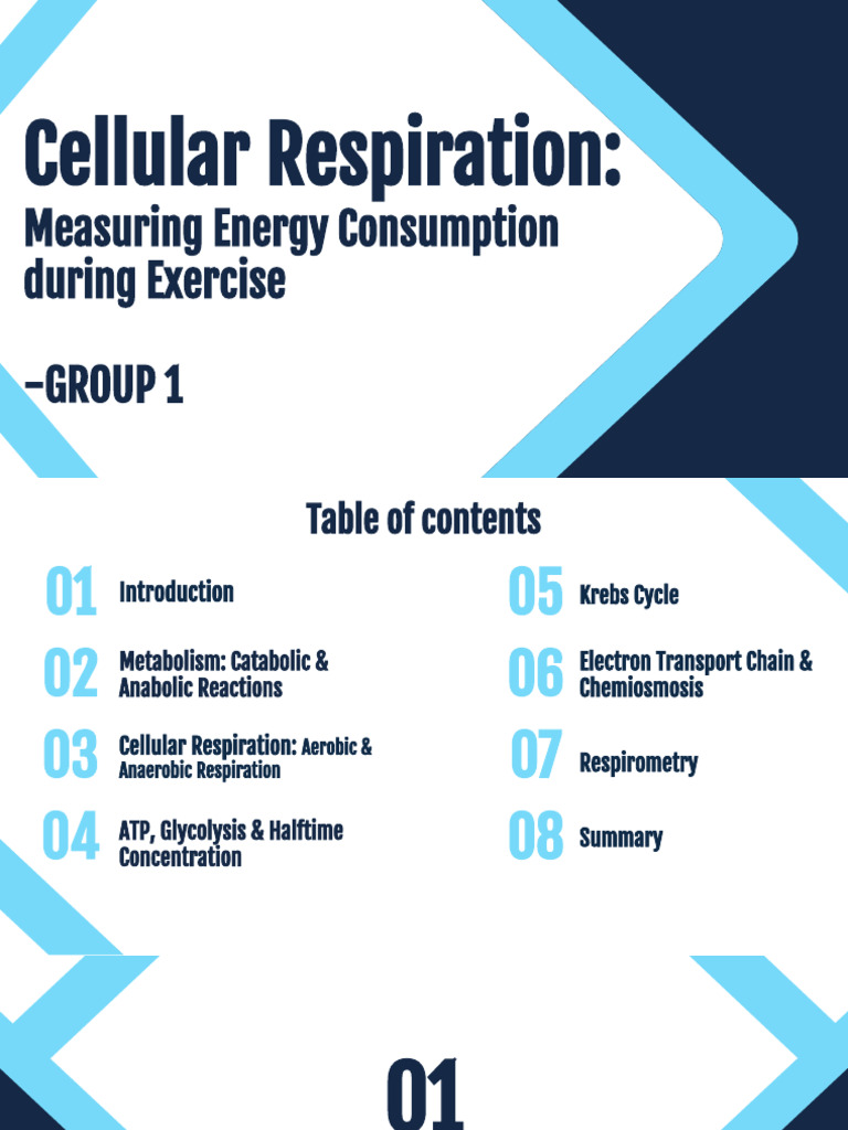 Cellular Respiration Group1 | PDF | Cellular Respiration | Adenosine Triphosphate