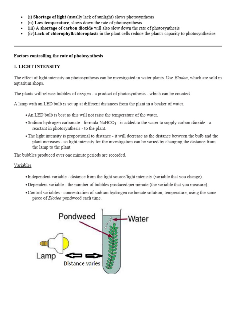 Factors Affecting Photosynthesis | PDF | Photosynthesis | Carbon Dioxide