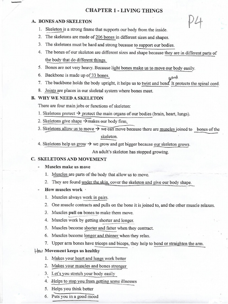 Unit 1 - Living Things - Handout | PDF