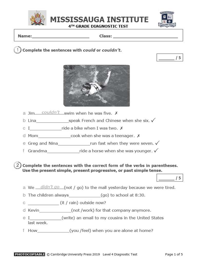 CPP4-RT-DT - Diagnostic Test | PDF | Linguistic Morphology | Grammar