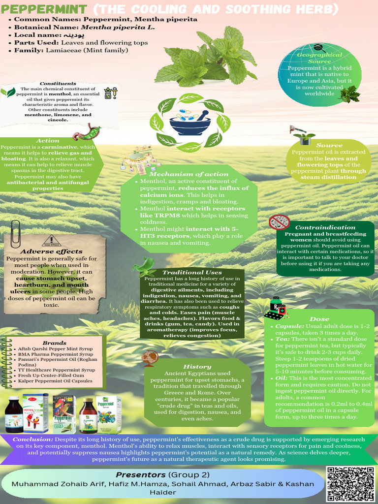 Peppermint poster | PDF | Clinical Medicine
