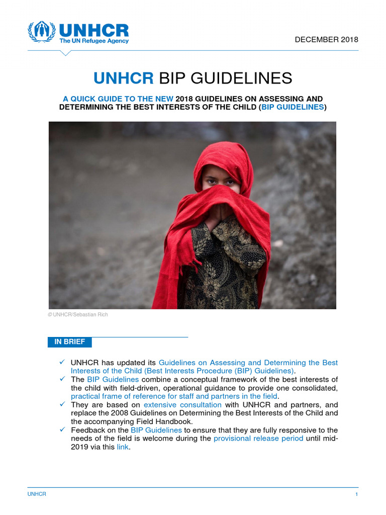 Guia para Determinar Interes Superior | PDF | Risk | Best Interests