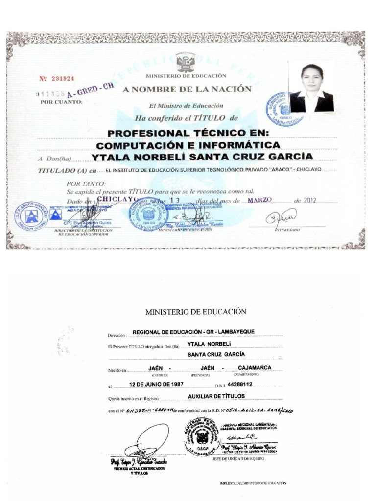 Título de Computación e Informática | PDF