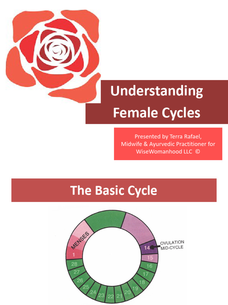 Understanding Female Cycles | PDF | Menstrual Cycle | Luteinizing Hormone