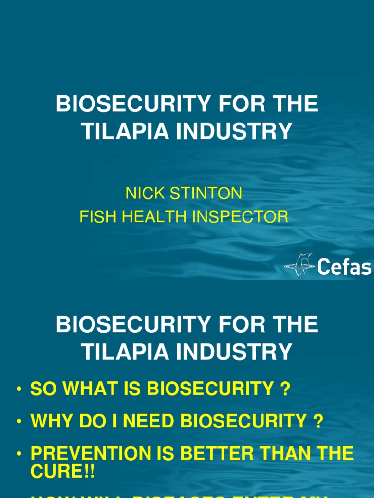 Biosecurity For The Tilapia Industry: Nick Stinton Fish Health ...