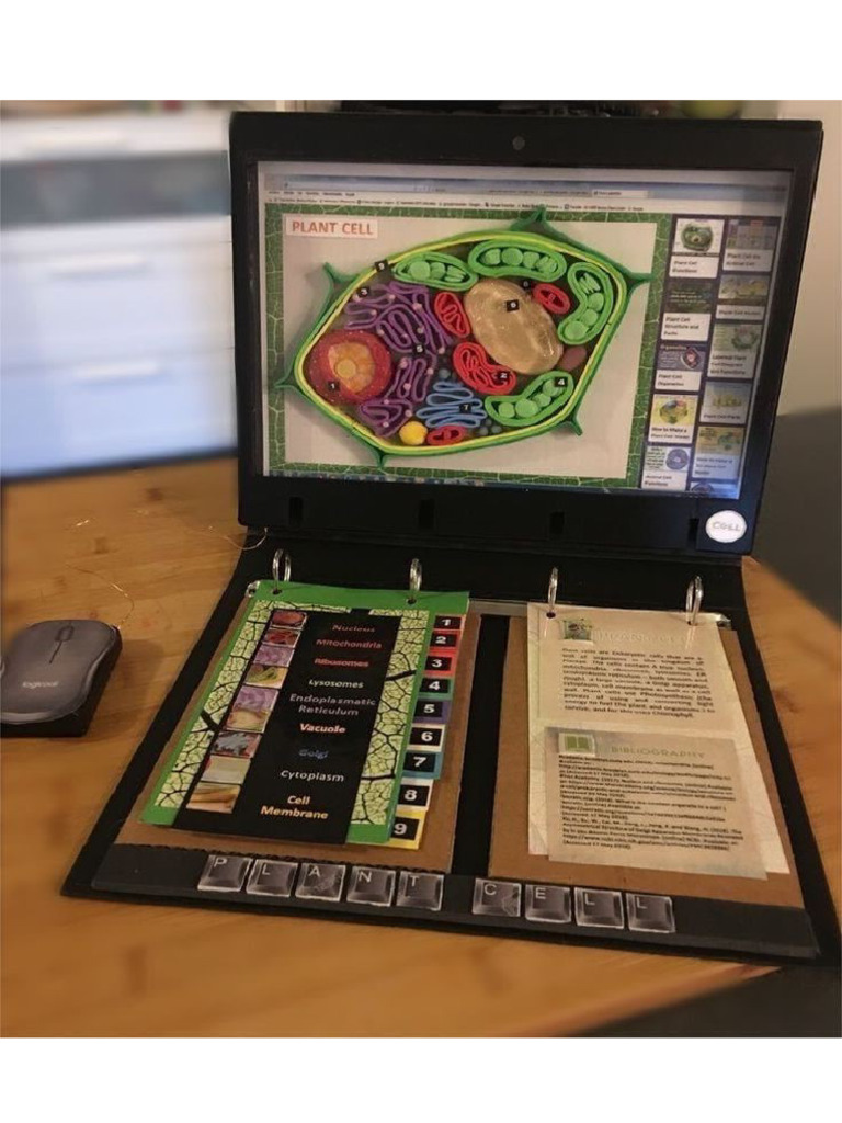 Trabajos Creativos | PDF