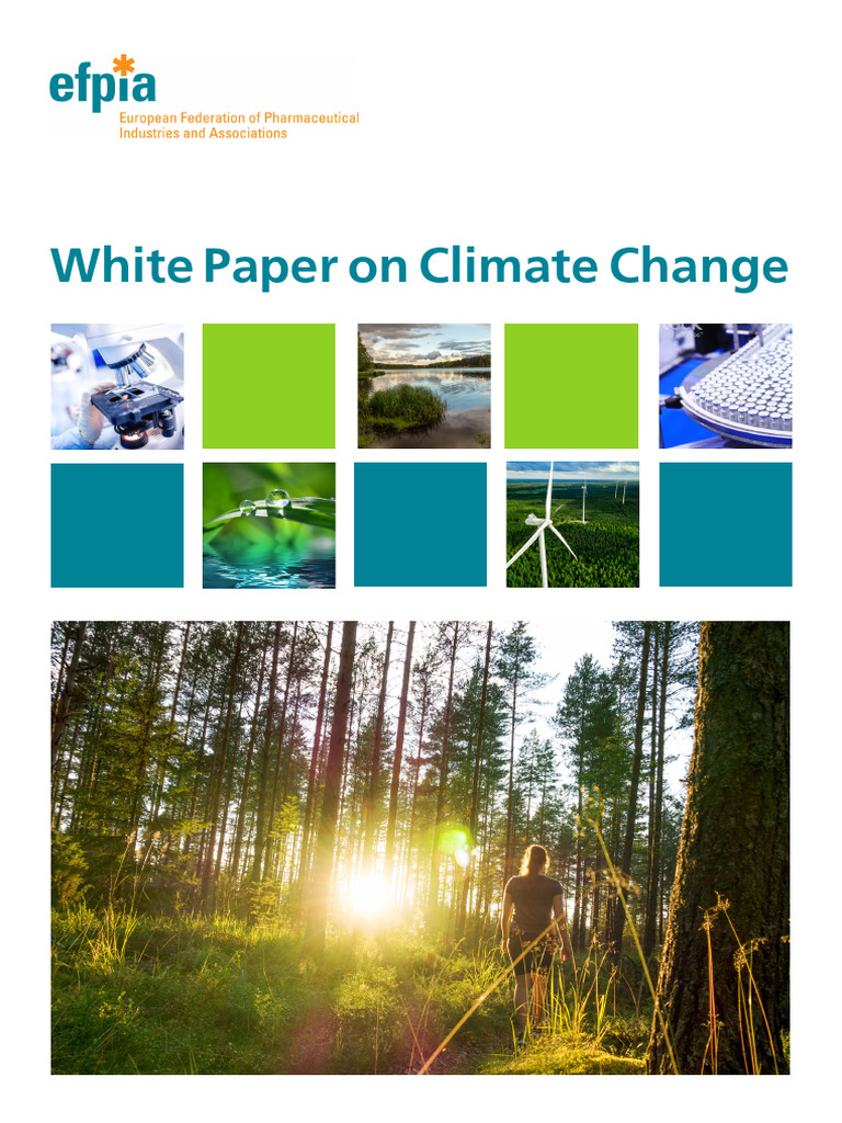 White Paper Climate Change | PDF | Climate Change Mitigation | Carbon ...