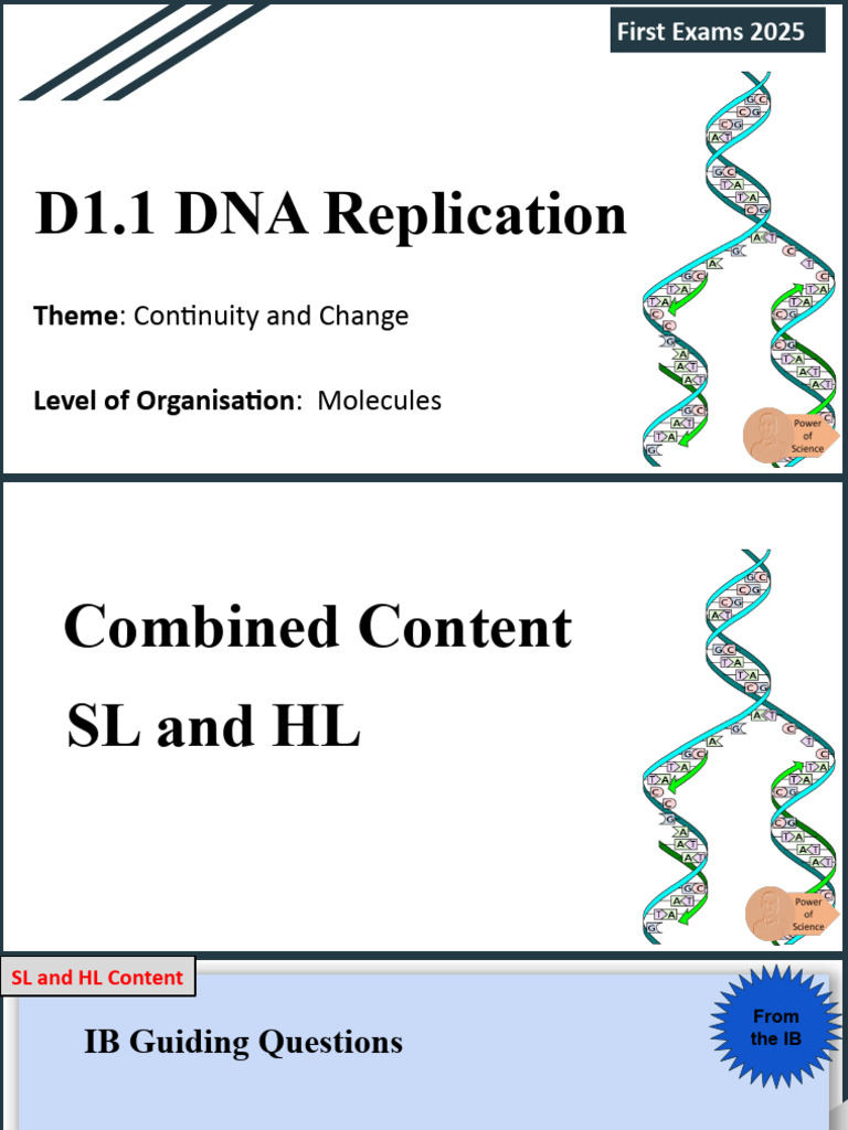 D1.1 DNA Replication | PDF | Dna Replication | Primer (Molecular Biology)