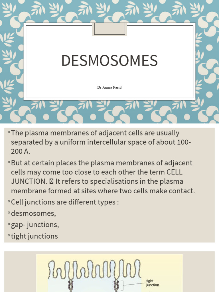 Understanding Desmosomes and Their Functions | PDF