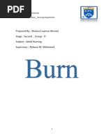 Wallace Rule of Nines for Burn Assessment | PDF | Burn | Intravenous ...