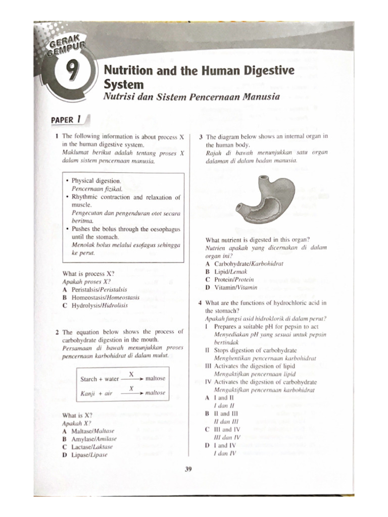 Latihan Bio Form 4 Bab 9 | PDF