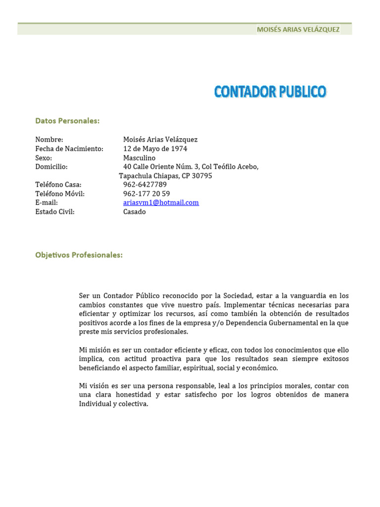 Curriculum MAV 2024 | PDF | Auditoría | Contabilidad