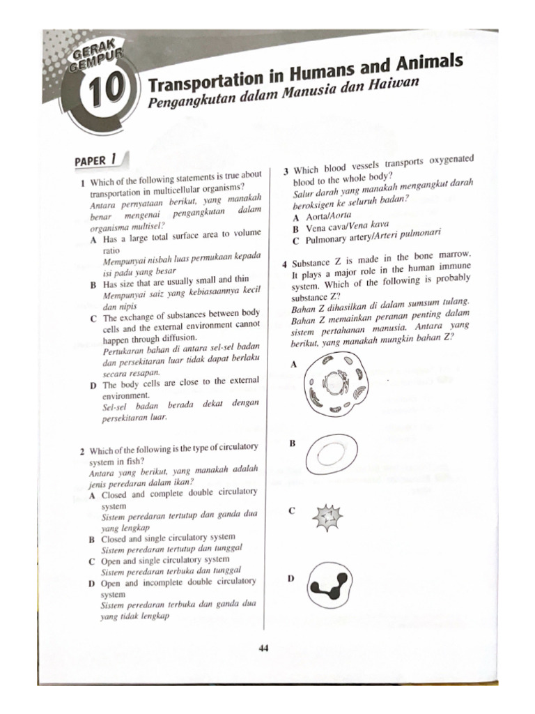 Latihan Bio Form 4 Bab 10 | PDF