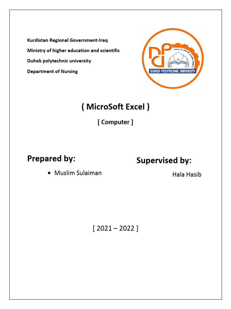 MicroSoft Excel | PDF | Microsoft Excel | Spreadsheet