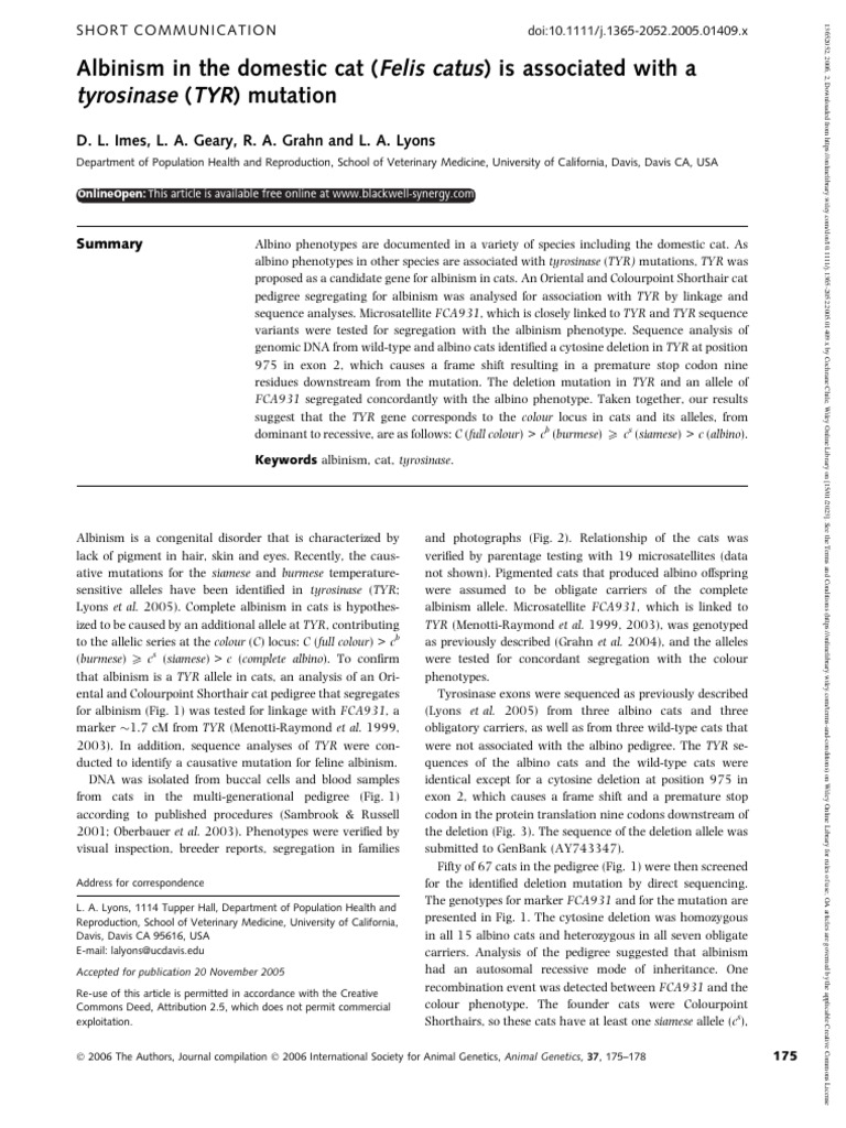 Albinism in The Domestic Cat Felis Catus Is Associated With A ...