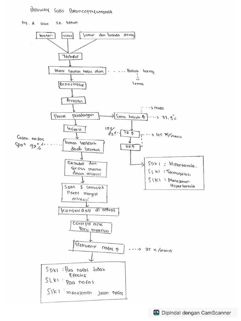 Pathway Khusus Sups Broncopneumonia - Theodora Klaudia | PDF