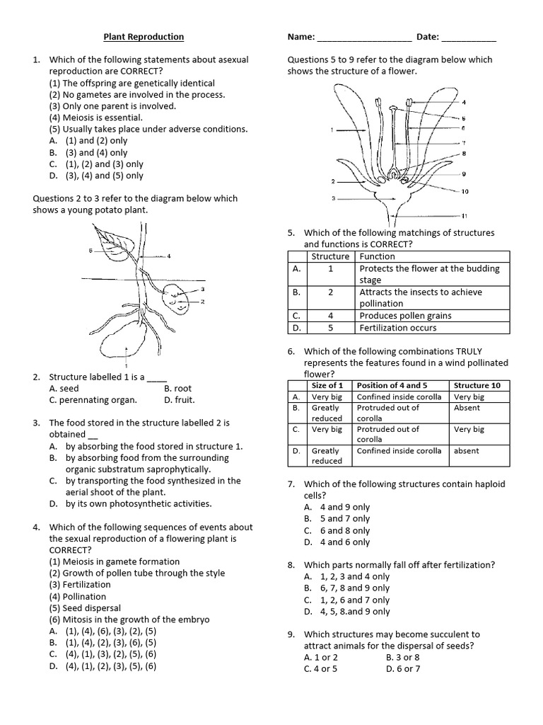 SA1 Revision Paper Plant Reproduction | PDF | Flowers | Plant Reproduction