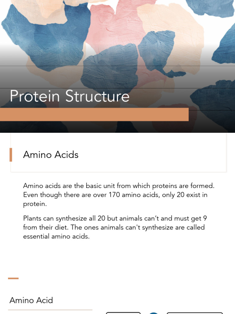 Understanding Protein Structure and Synthesis | PDF | Protein Structure ...