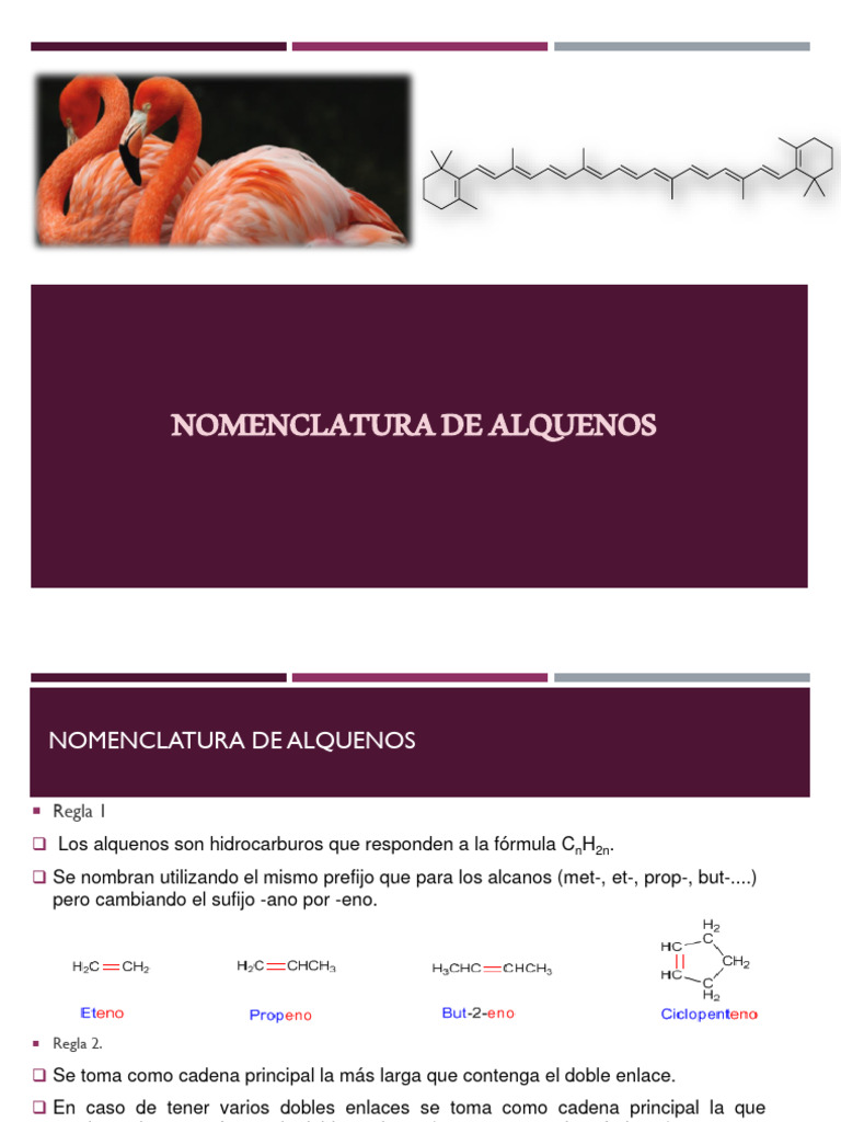 Nomenclatura Alquenos y Alquinos | PDF | Alqueno | Compuestos químicos