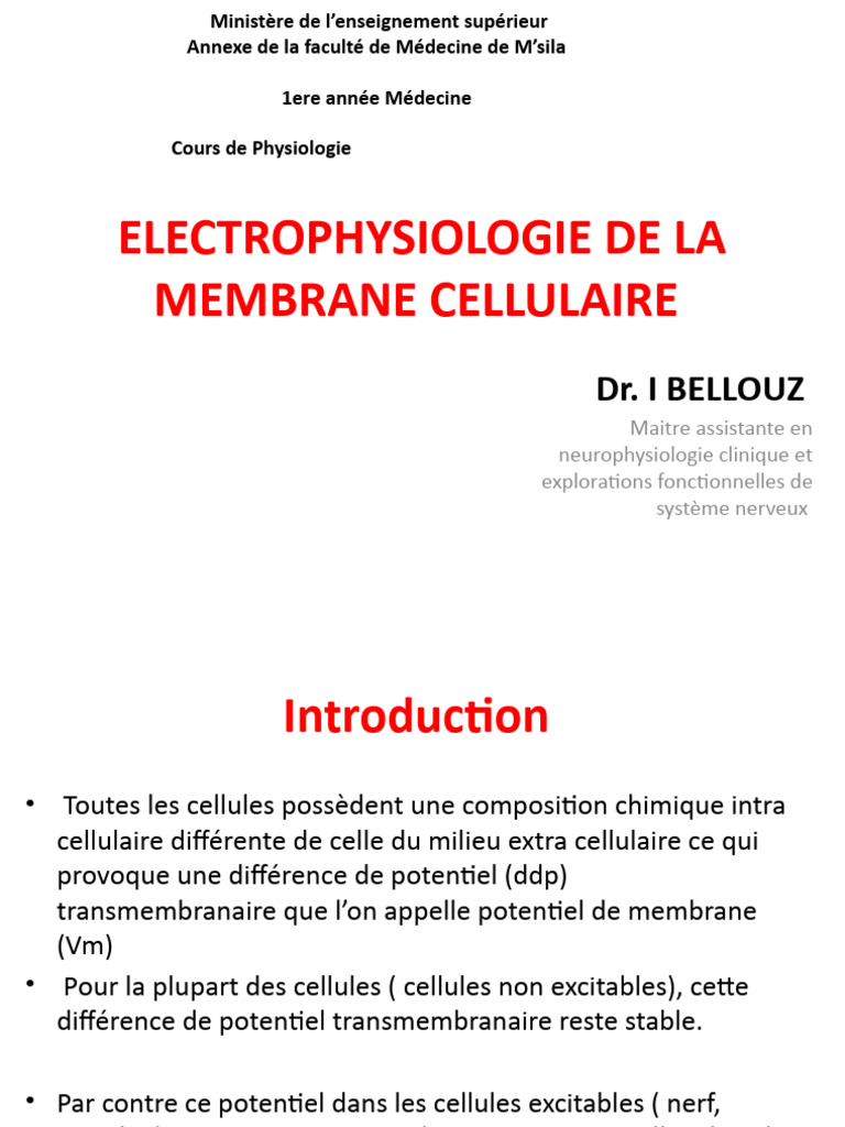 Electro Physio Logie | PDF | Myéline | Potentiel d'action