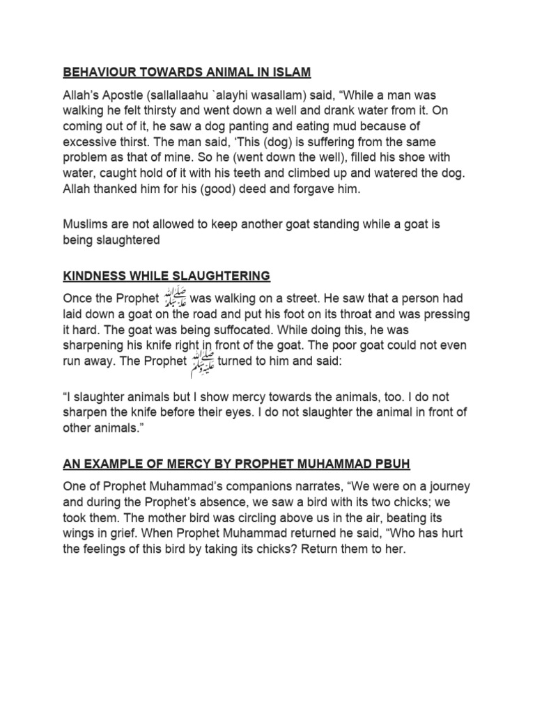 Behaviour Towards Animal in Islam | PDF