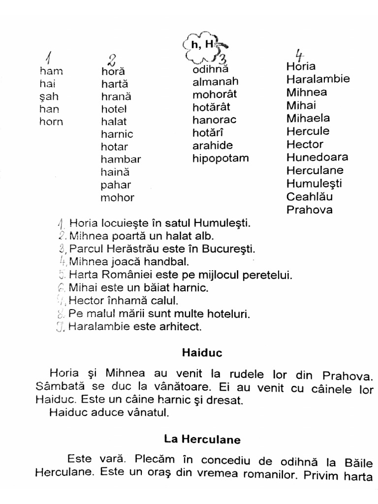 Fisa Litera H | PDF