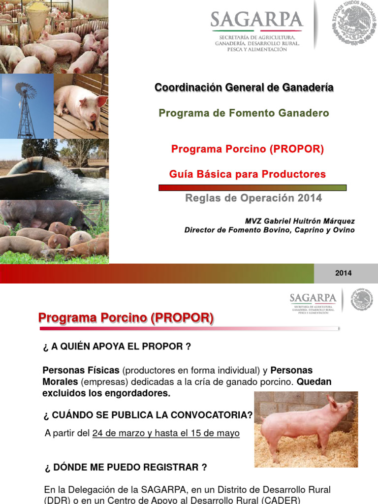 Gu A B Sica Productores PROPOR 2014 | PDF | Finanzas y dinero | Derecho