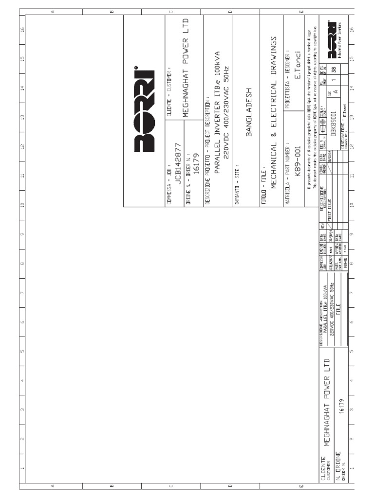 Borri JCB142877 | PDF