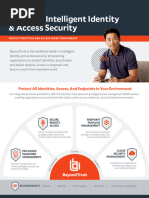 BeyondTrust BeyondInsight Guides | PDF