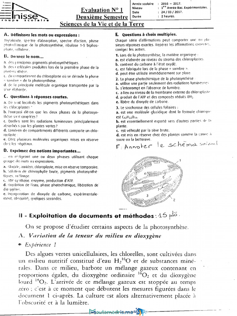 Devoir SVT 1bac SX International FR s2 1 | PDF