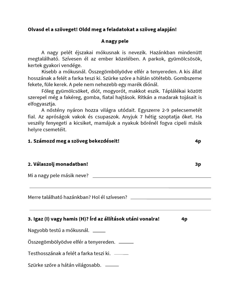 Szövegértés | PDF