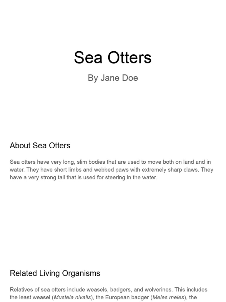 Sea Otters: Relatives and Evolution | PDF | Science & Mathematics